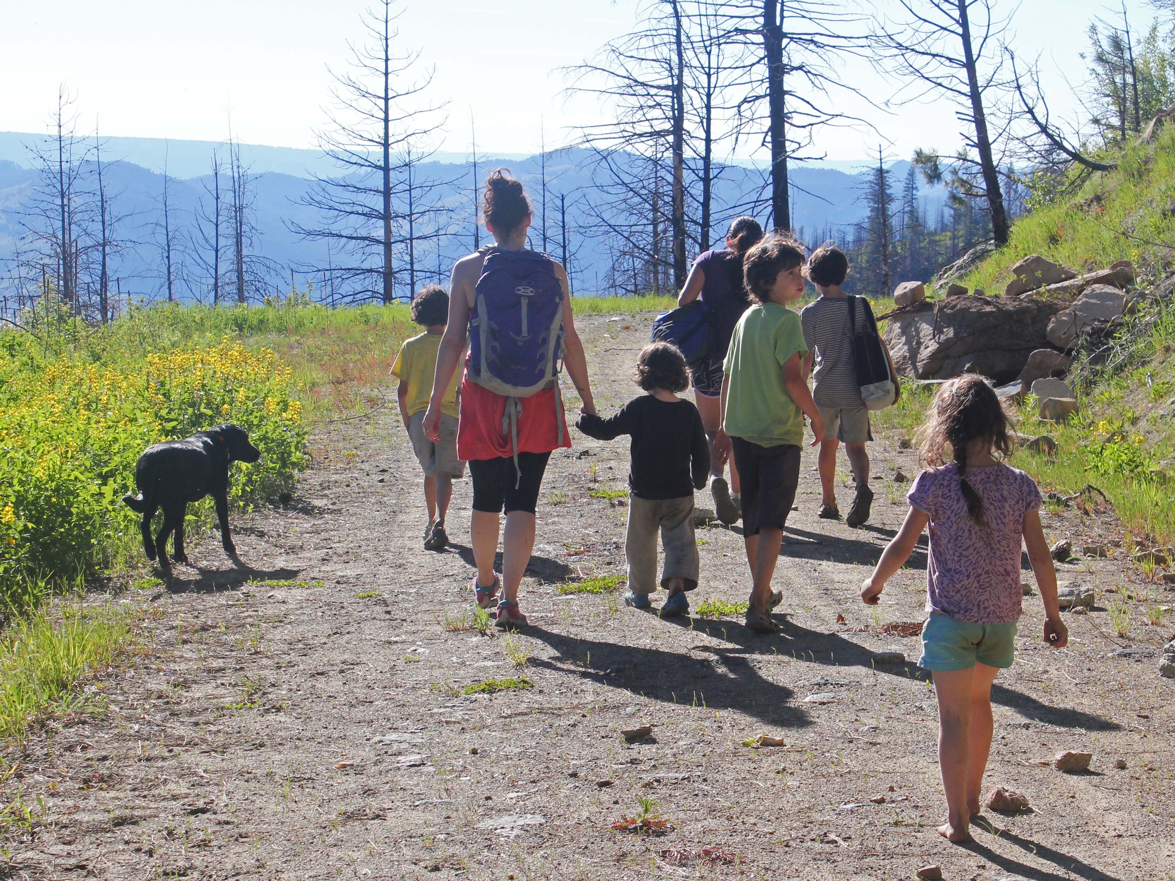 Discharge Planning, Part 2/4 | TCOM CONVERSATIONS