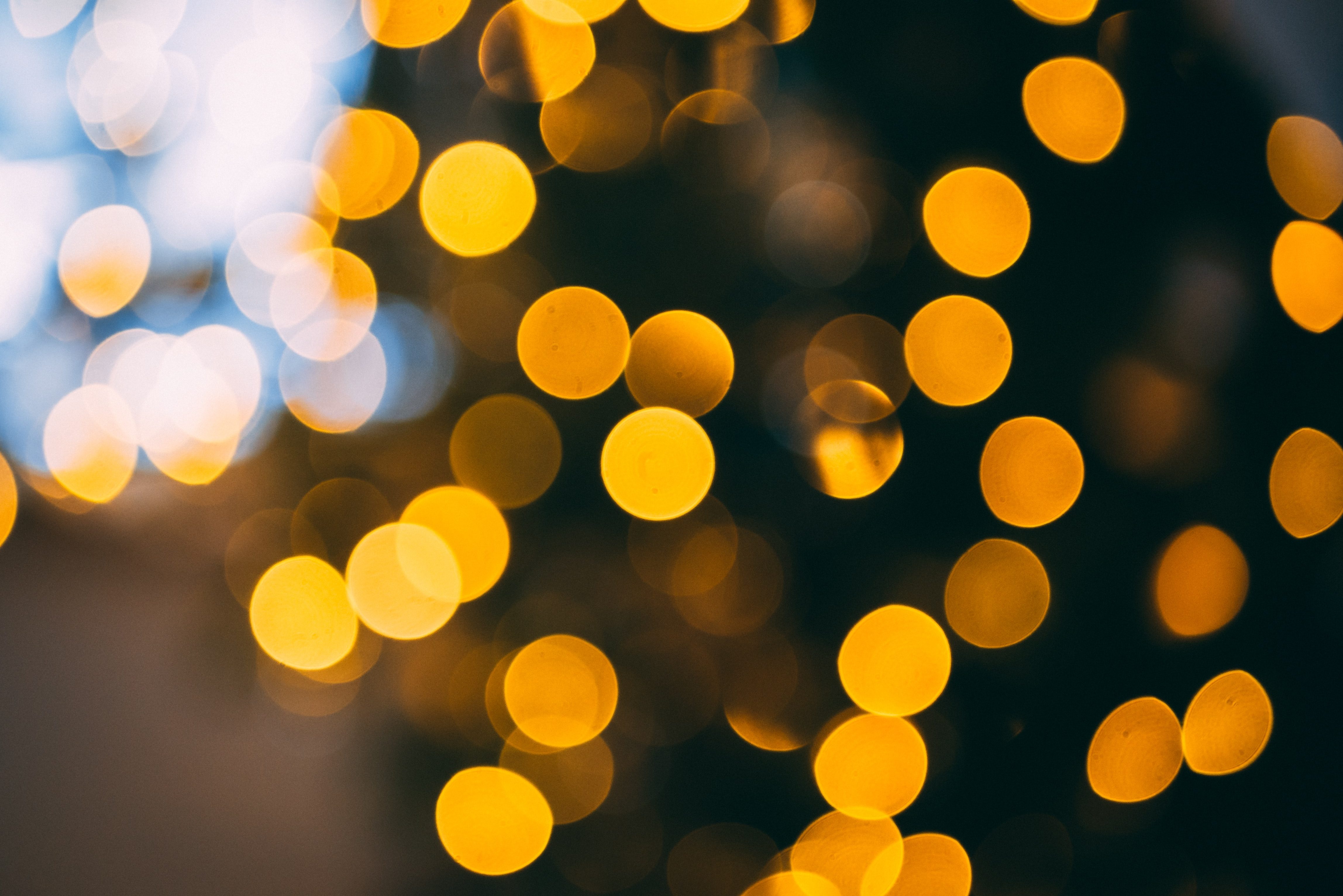 And the Medallion Scavenger Hunt Winner is… | TCOM CONVERSATIONS